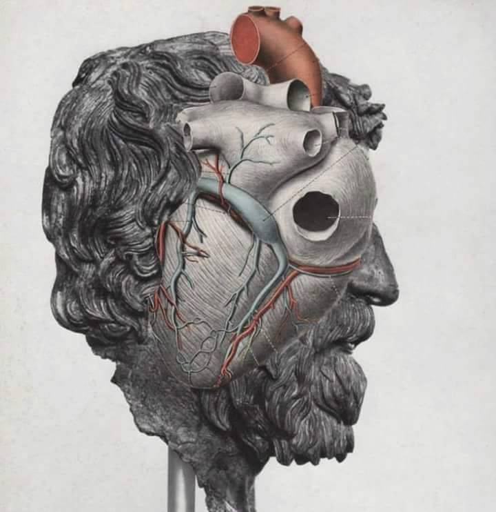 The Philosopher’s Head by David Delruelle Collage – Thought Itself
